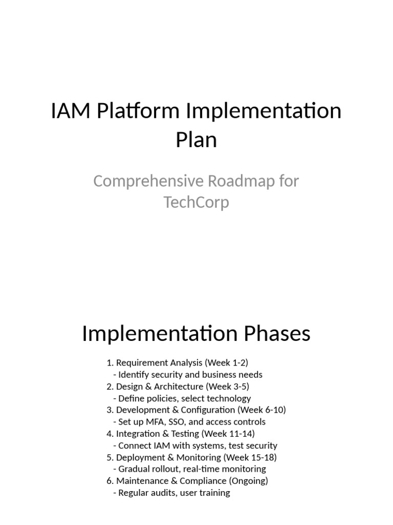 IAM Implementation Plan TechCorp | PDF