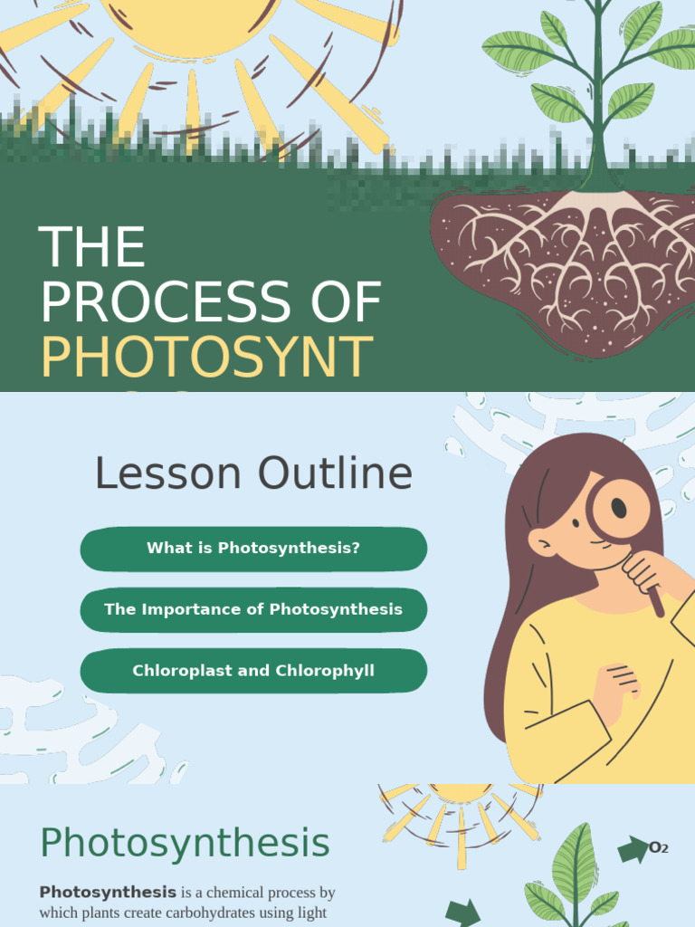 Factors Affecting Photosynthesis | PDF | Photosynthesis | Chloroplast