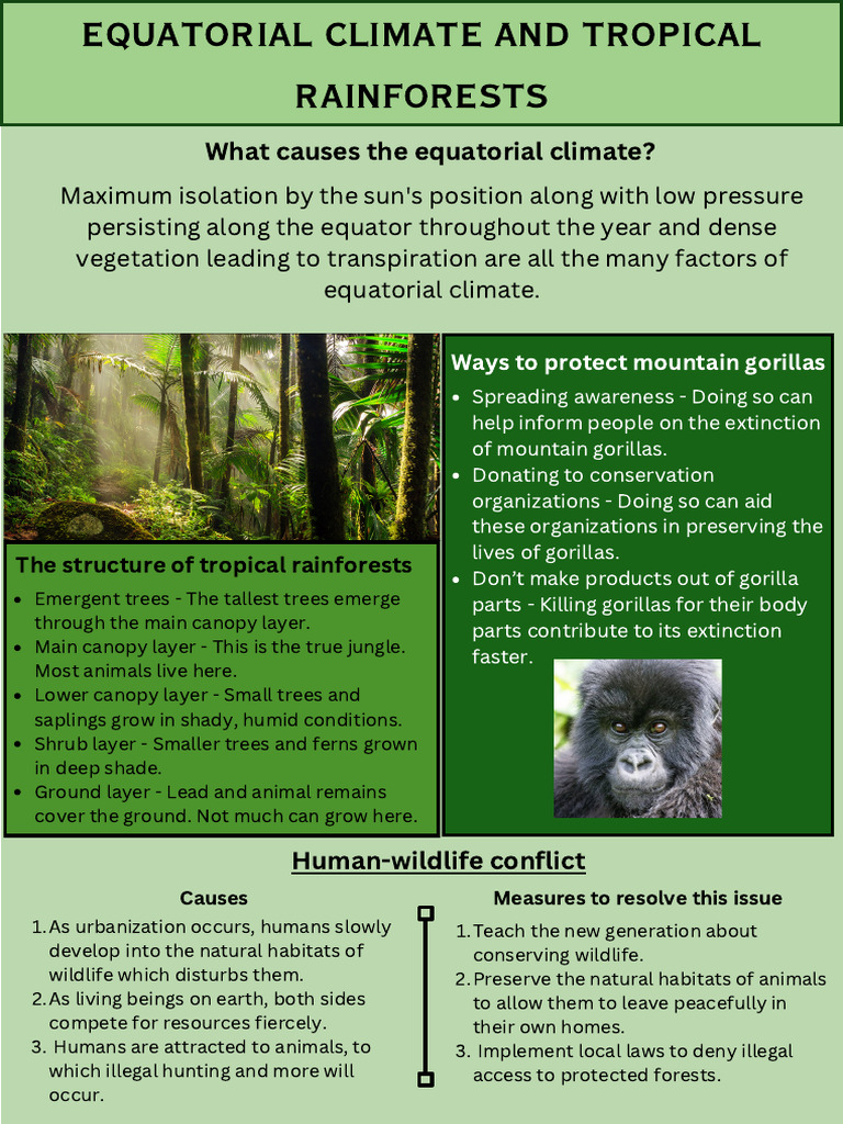 equatorial climate and rainforest | PDF | Rainforest | Forests