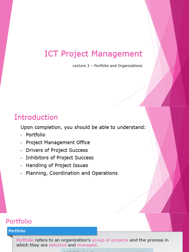 Portfolio and Organizations | PDF | Project Management | Information ...