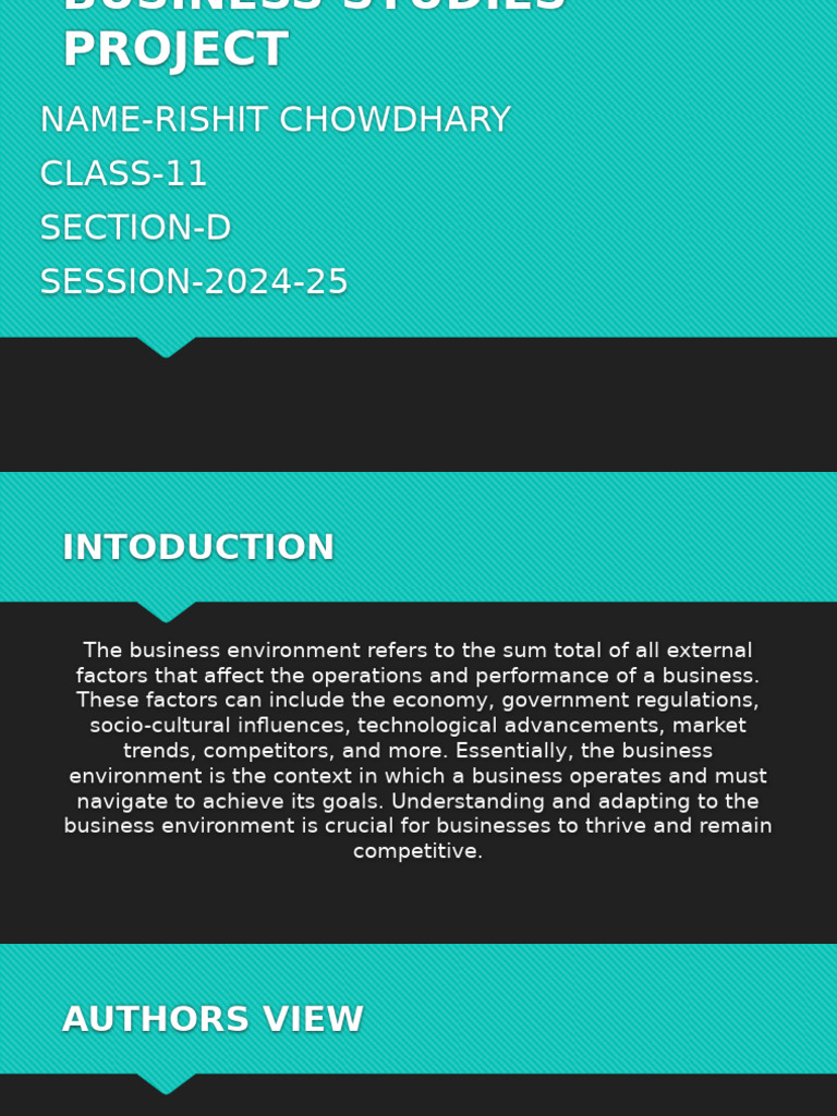 BUSINESS STUDIES PROJECT | PDF | Gross Domestic Product | Electric Vehicle
