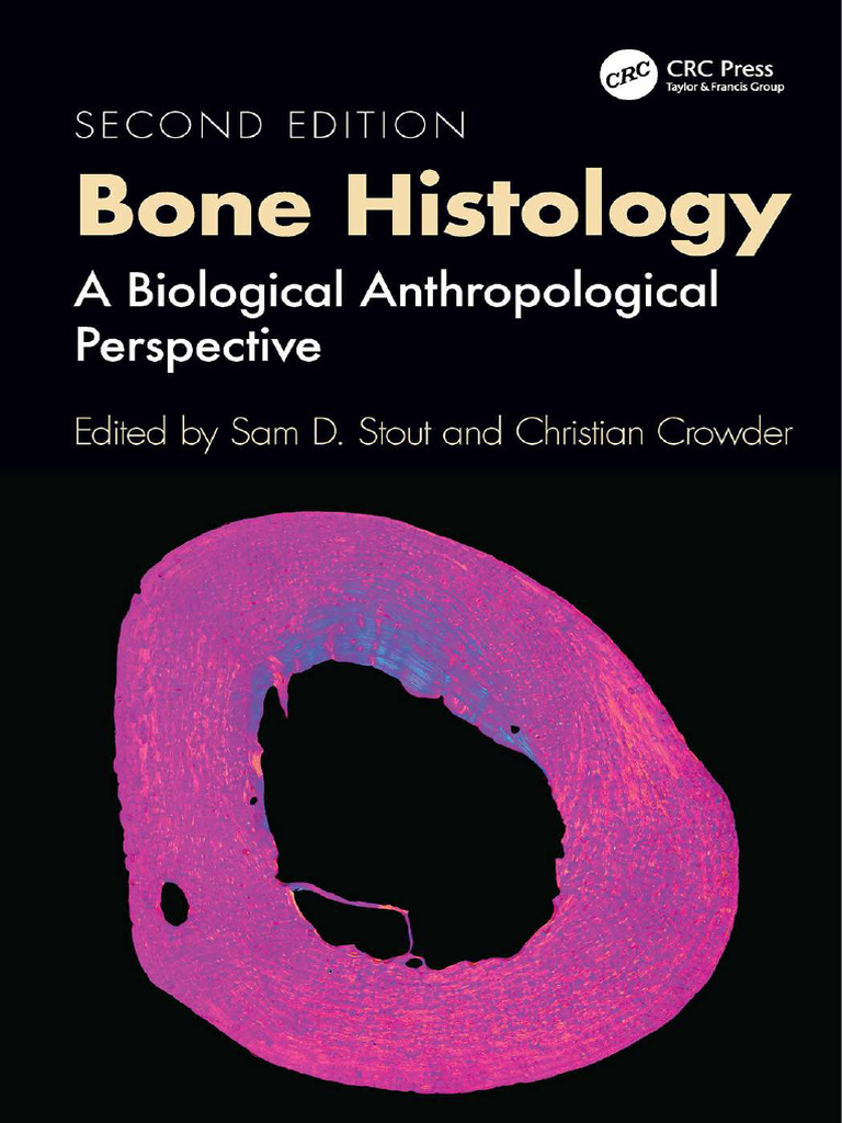 Bone Histology | PDF | Bone | Osteoblast