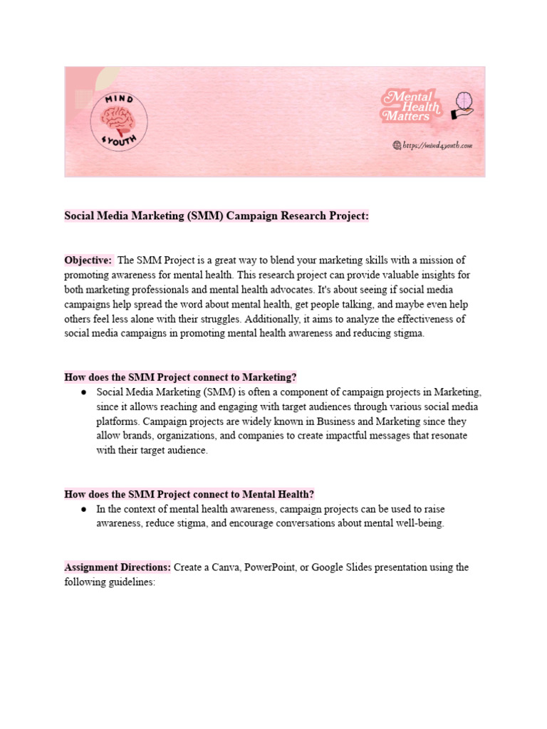 Social Media Marketing (SMM) Campaign Research Project | PDF | Social ...