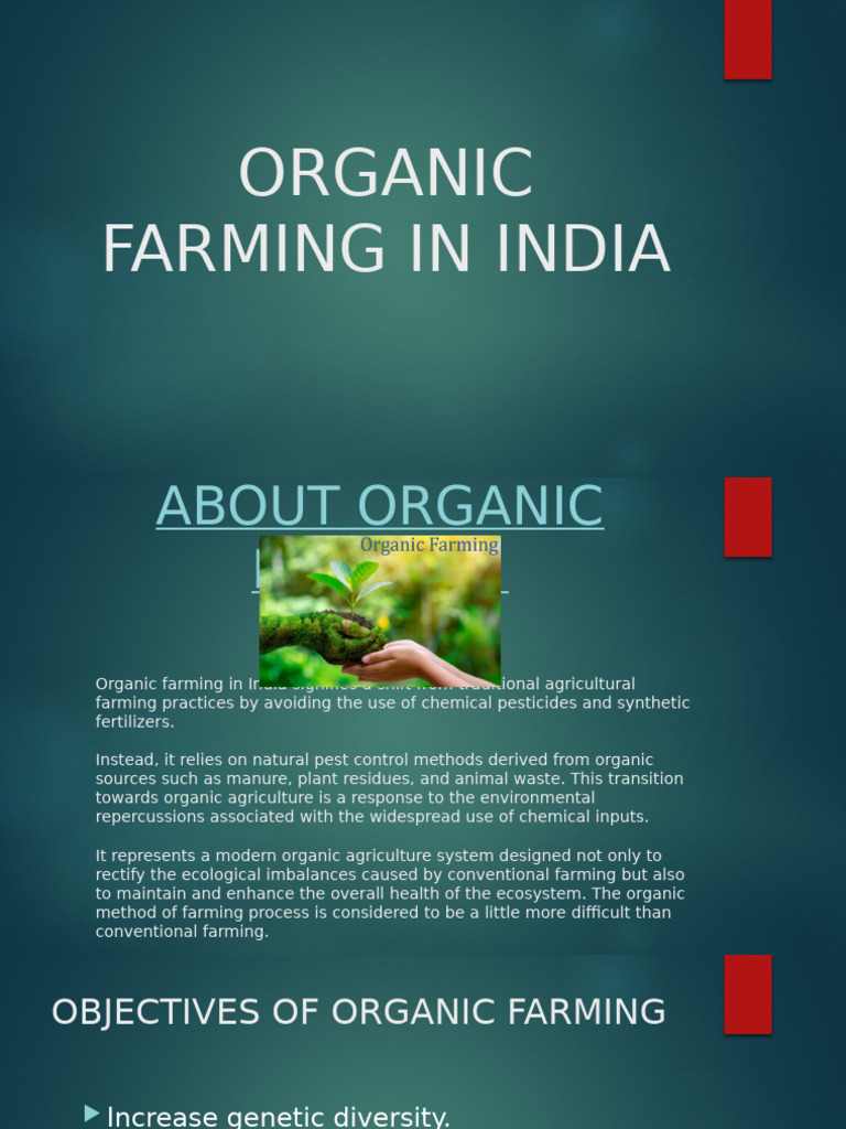 Importance of Yoga in Our Daily Life Style | PDF | Organic Farming ...