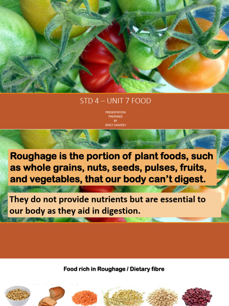 STD 4 Unit 7 Food - Roughage | PDF