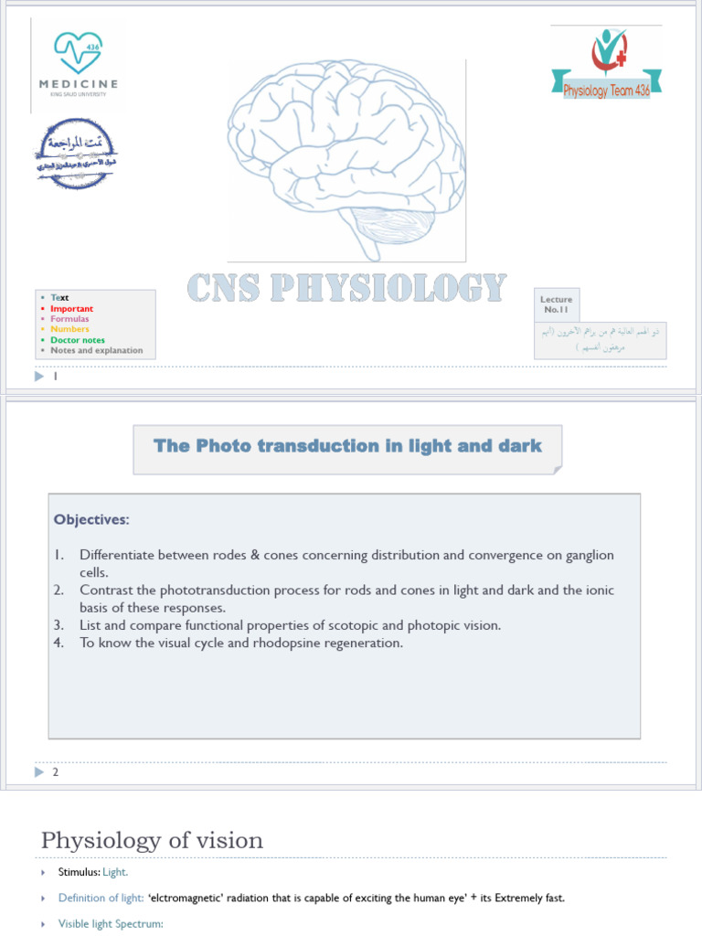 Phototransduction in Rods and Cones | PDF | Retina | Retinal