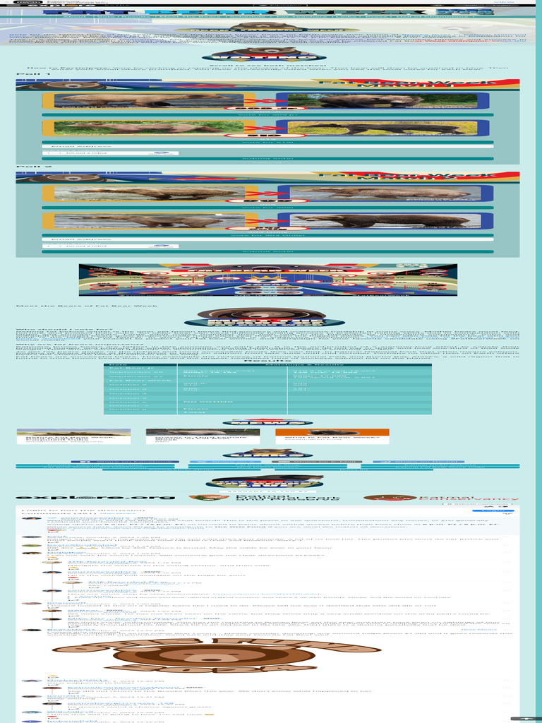 Fat Bear Week 2024 VOTE | PDF | Bears