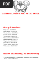 Maternal Pelvis and Fetopelvic Dynamics | PDF | Pelvis | Skeletal System