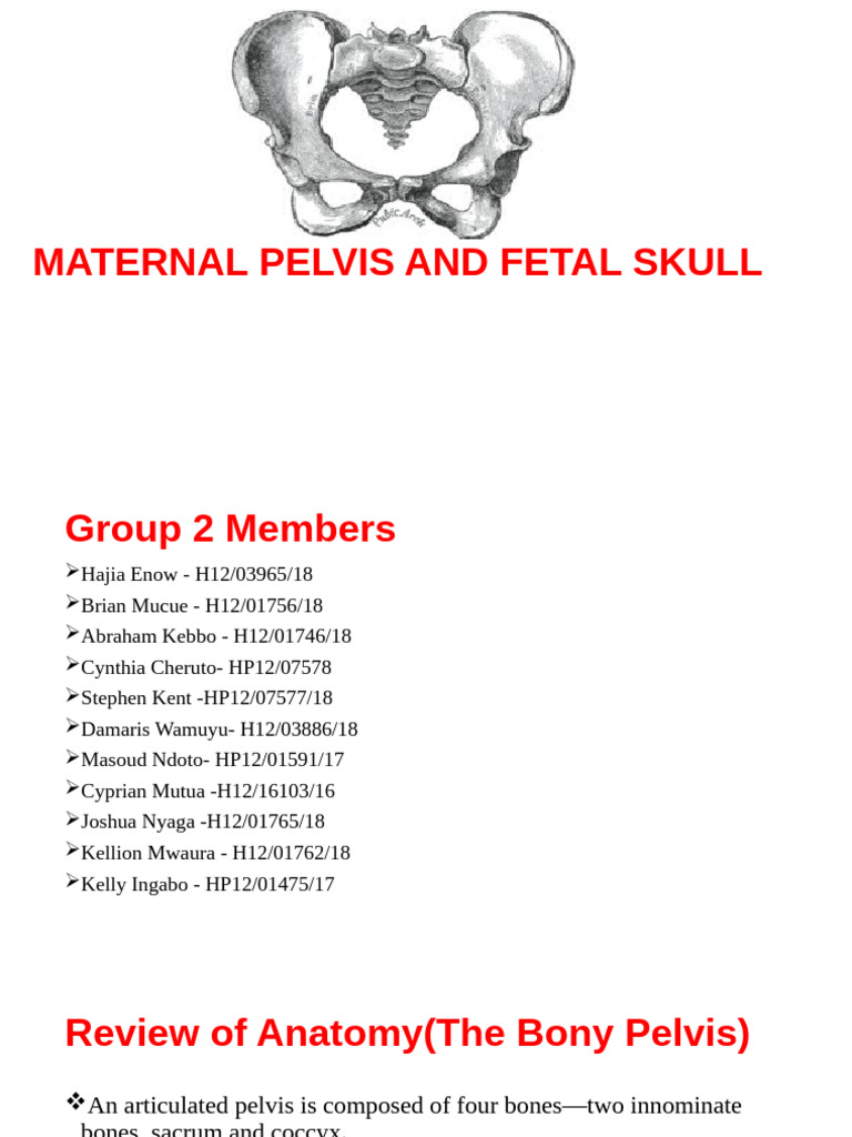 Maternal Pelvis and Fetal Skull | PDF | Pelvis | Skeletal System