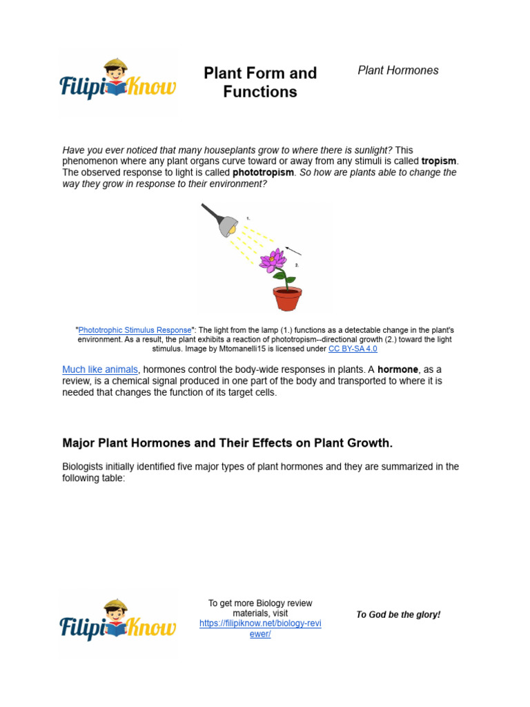 Plant Hormones Reviewer | PDF | Auxin | Plant Hormone