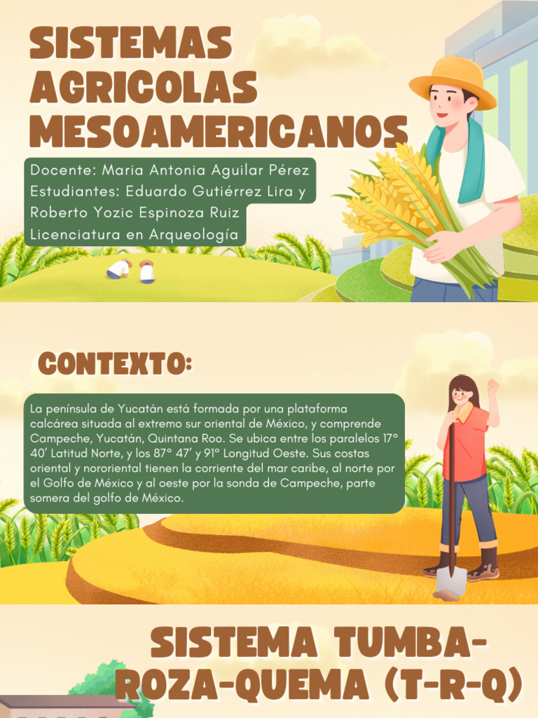 Sistema de Roza y Quema Maya | PDF | México | Agricultura