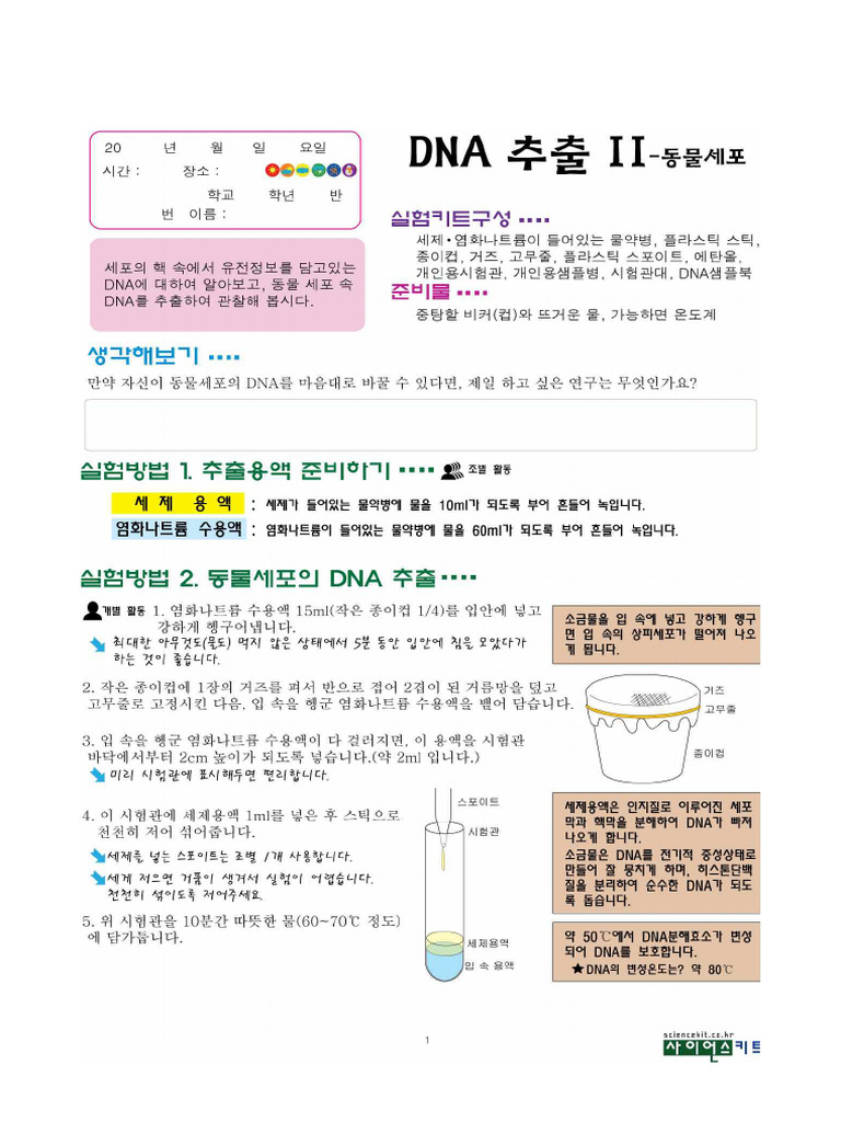 Dna Animal | PDF