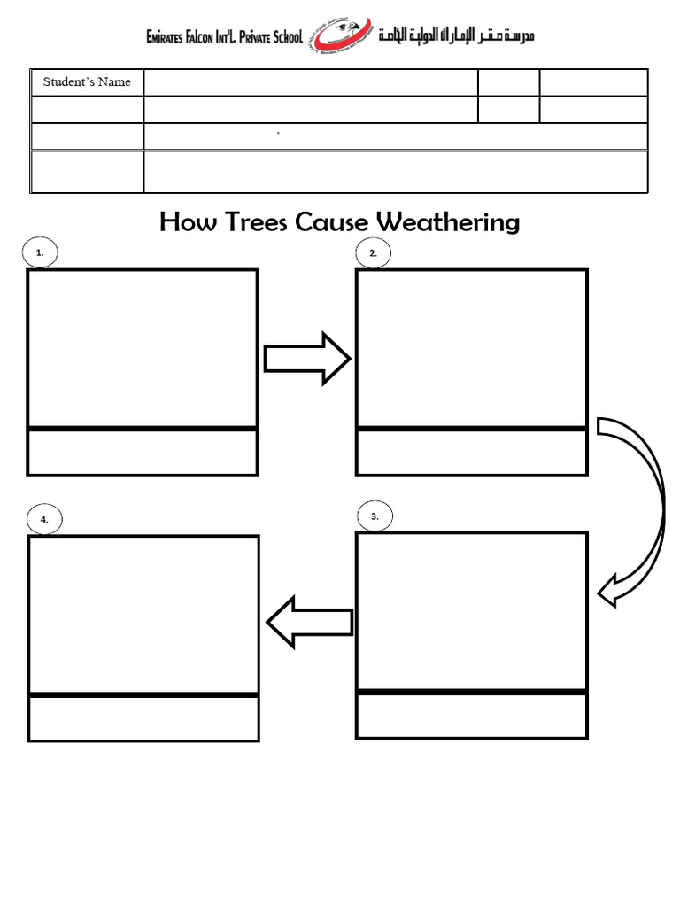 How Trees' Roots Cause Weathering - Flow Chart Activity | PDF