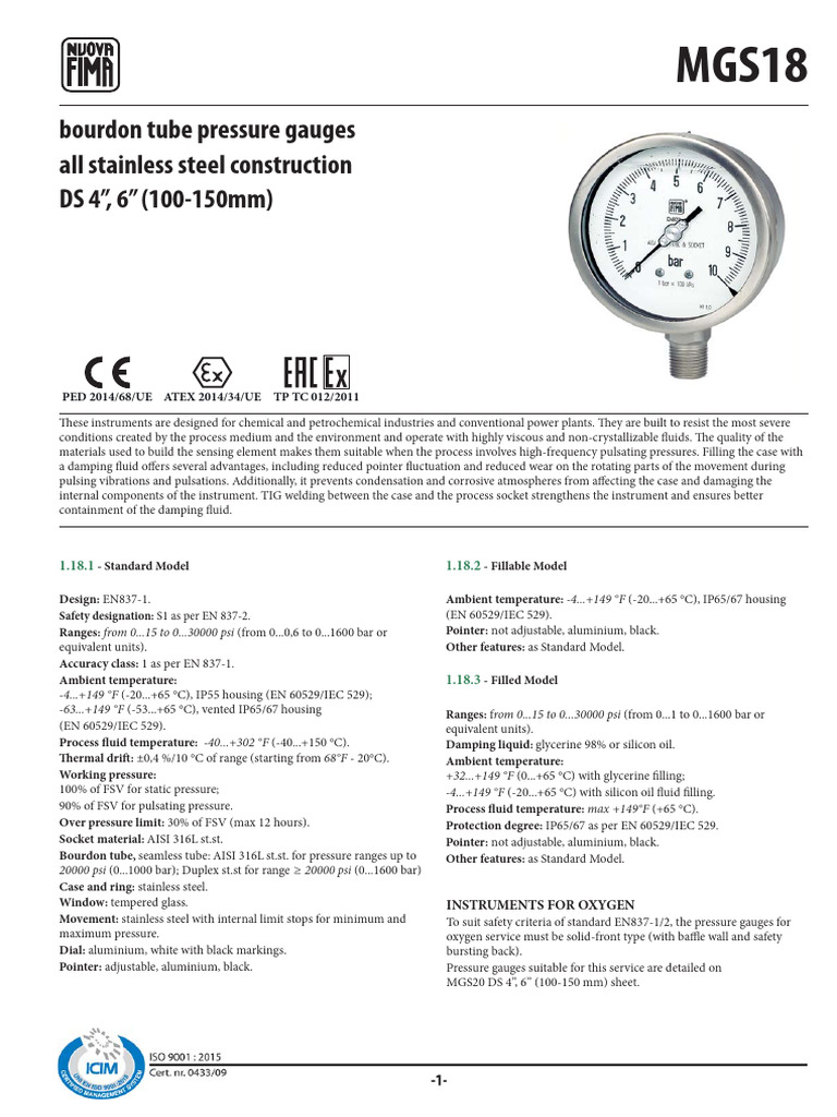 RC10 Data Sheet MGS18 DN100-150 @en | PDF | Pressure Measurement ...