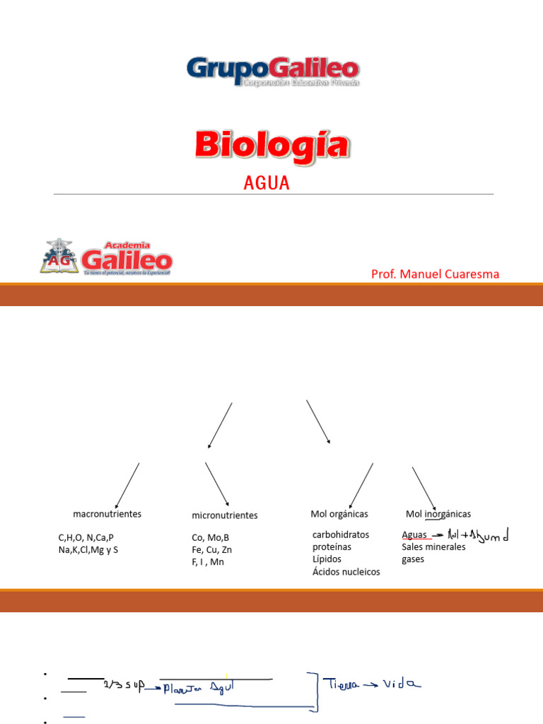 Agua | PDF | Agua | Polaridad química