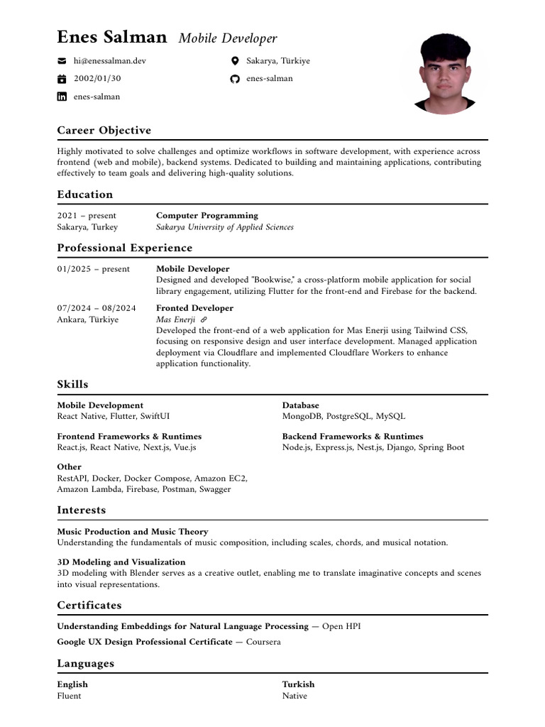 Enes Salman FlowCV Resume 20250513 | PDF