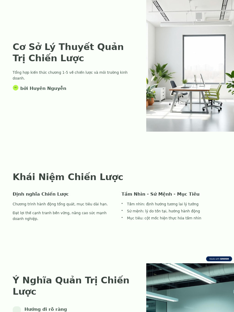 Co So Ly Thuyet Quan Tri Chien Luoc | PDF