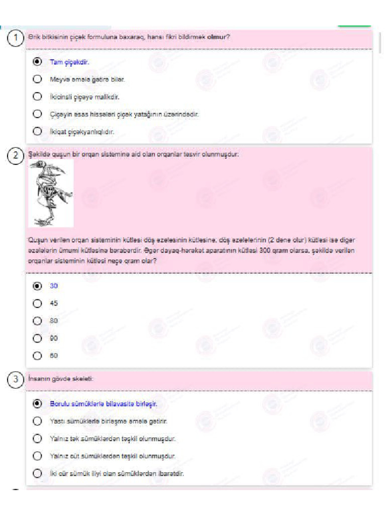 Otk 11 Sinif 4 Qrup 11 May 2025 | PDF