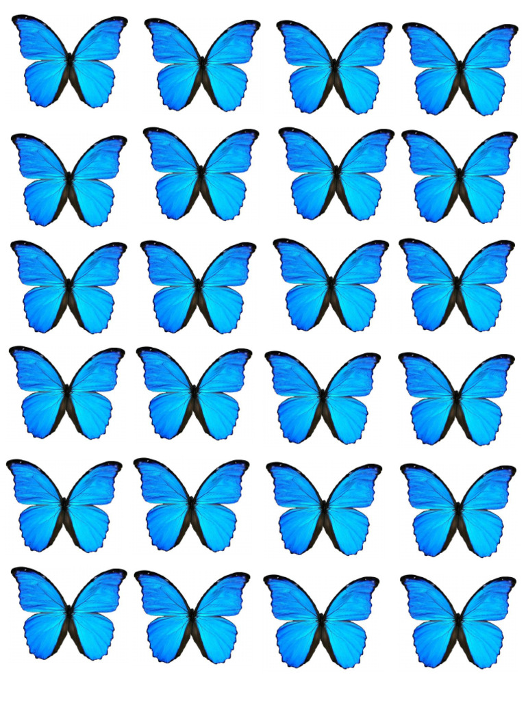 Butterfly | PDF