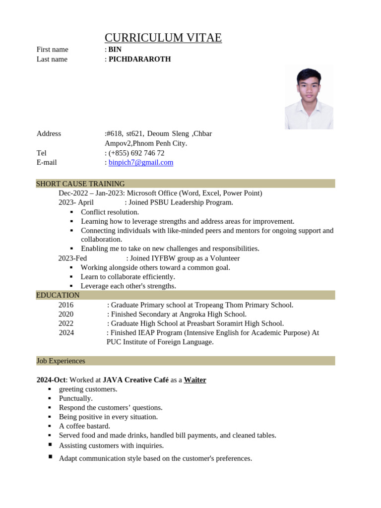 Bin Pichdararoth's CV and Skills Summary | PDF | Communication | Learning