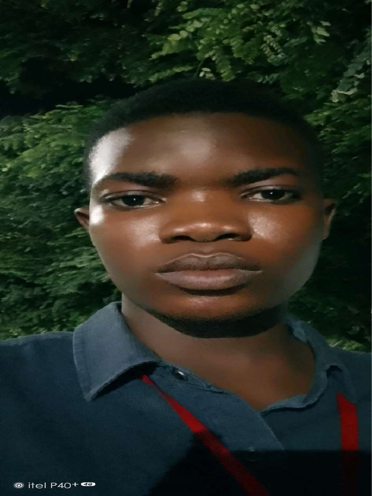 Enigold Compressed Compressed | PDF