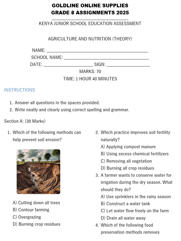 Grade 8 Assignments | PDF | Manure | Jesus