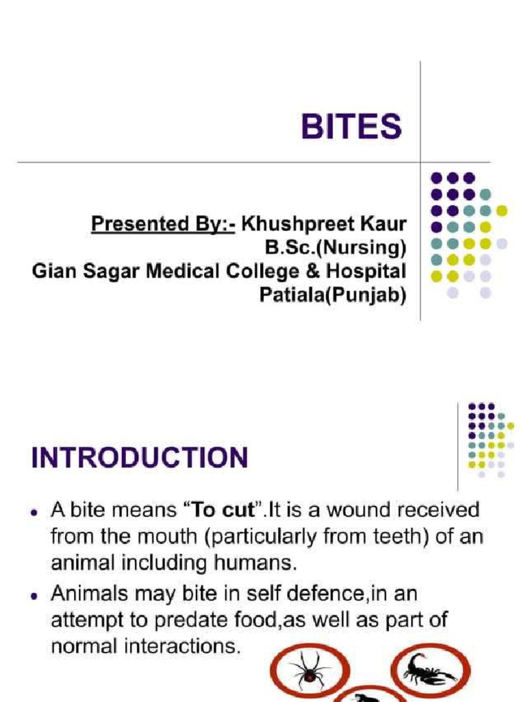 Bites | PDF