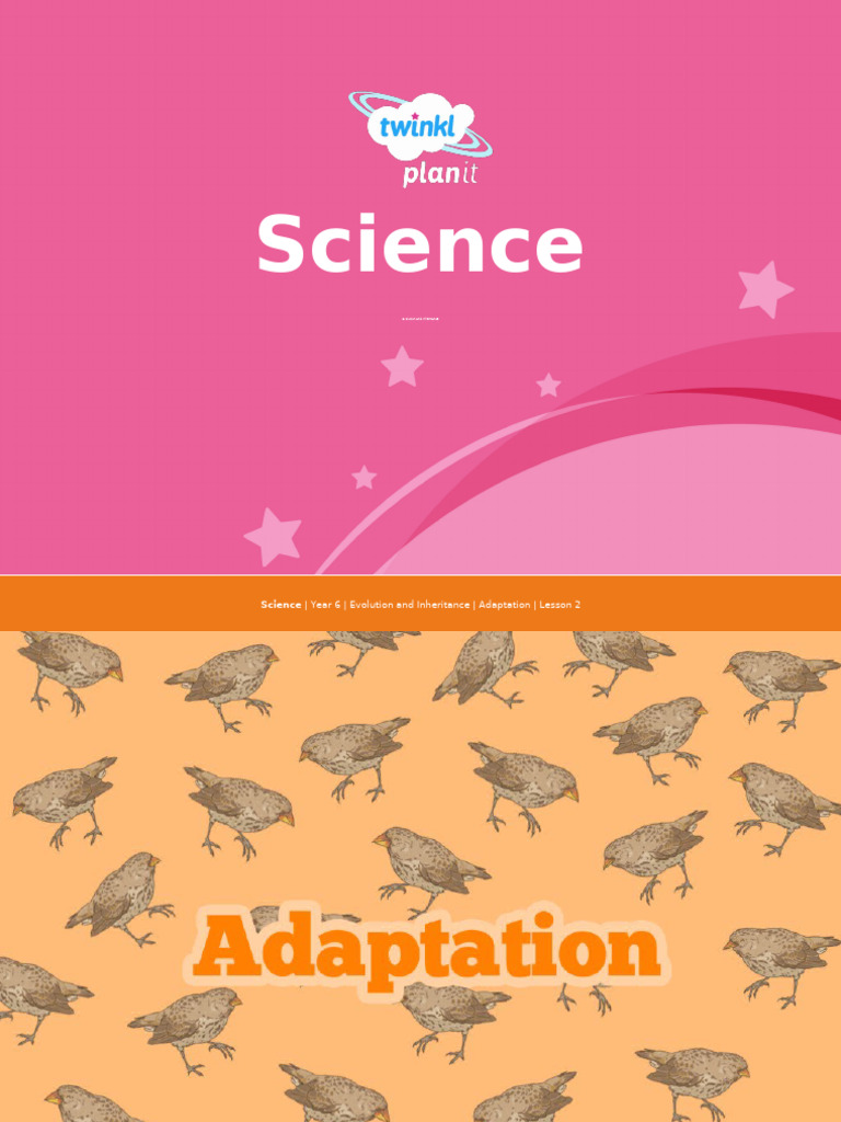 Understanding Adaptation in Evolution | PDF | Adaptation | Mutation