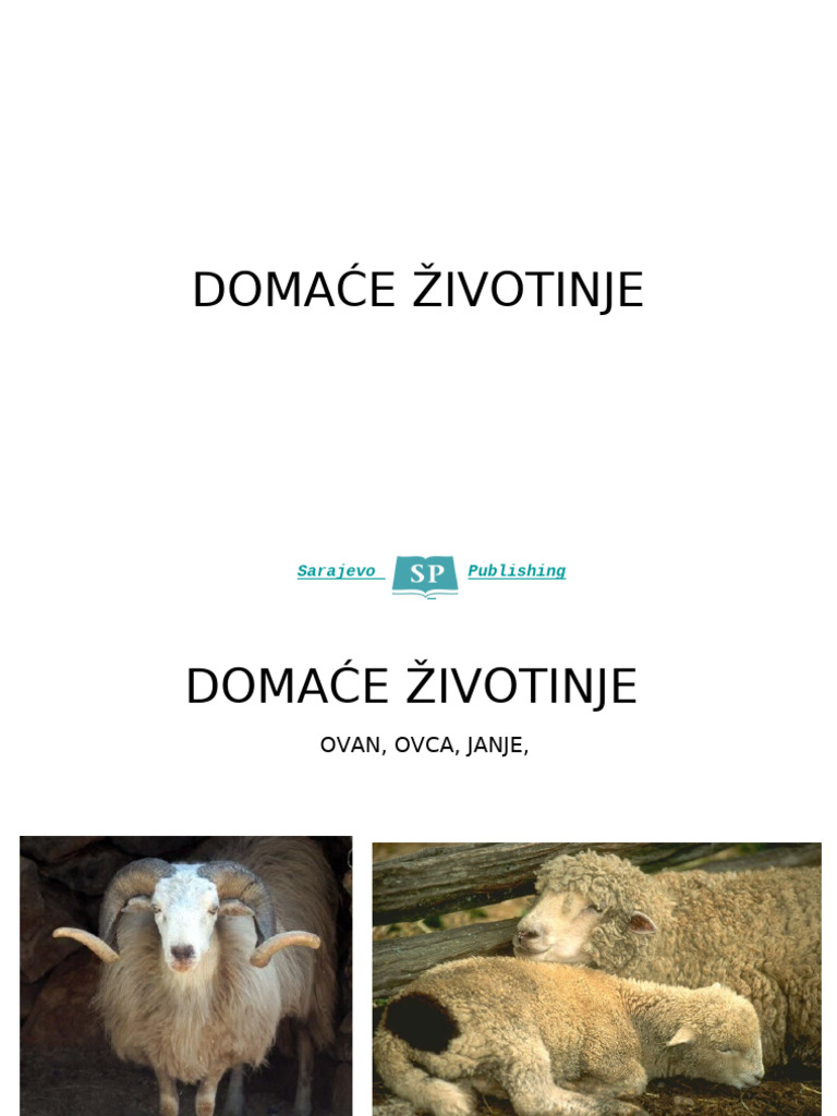 DOMACE ZIVOTINJE | PDF