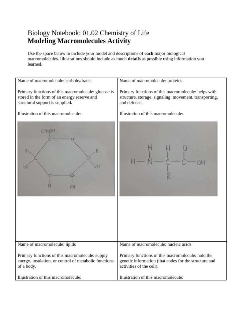 01.02 - Chemistry of Life | PDF