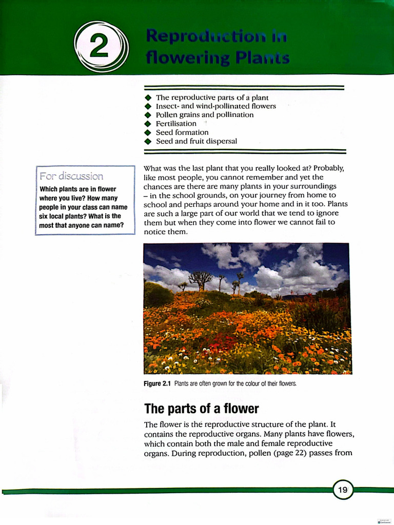 Biology Book 3 | PDF