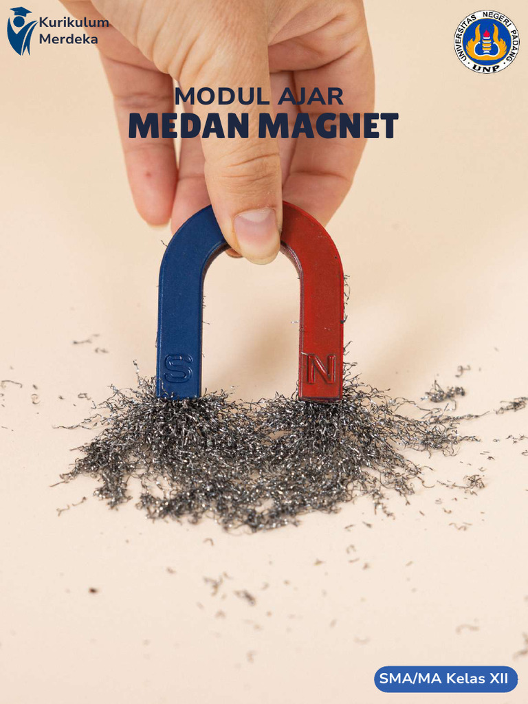 Garis Gaya Magnet dan Medan Magnet | PDF