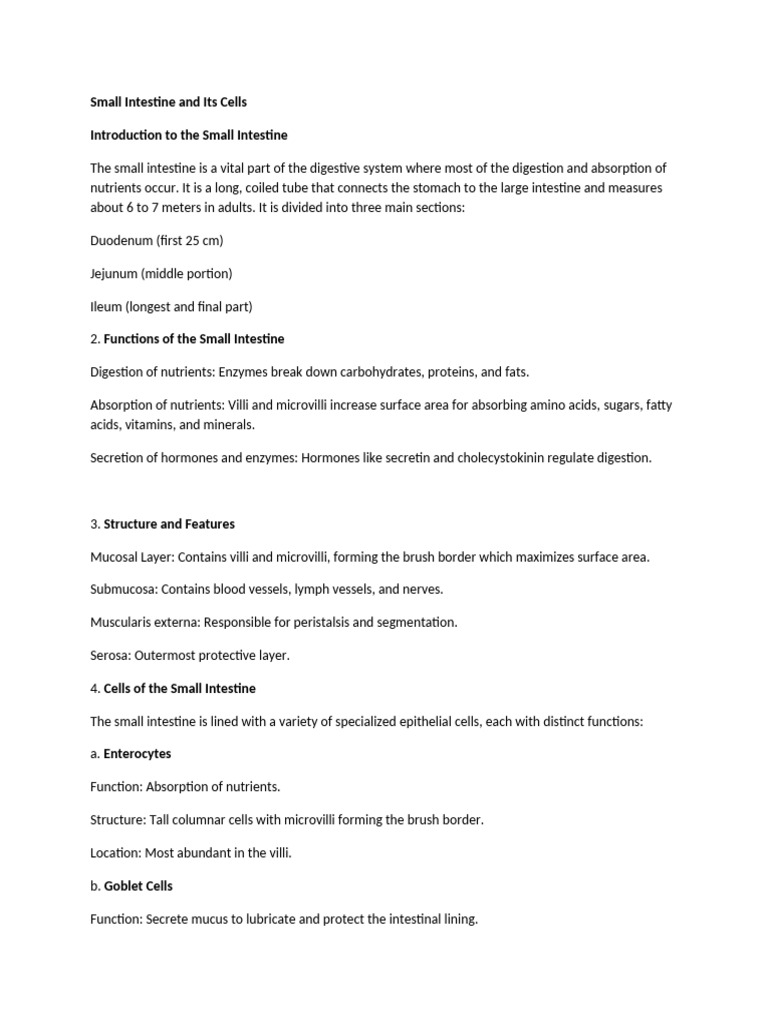 Physiology of Small Intestine | PDF | Small Intestine ...