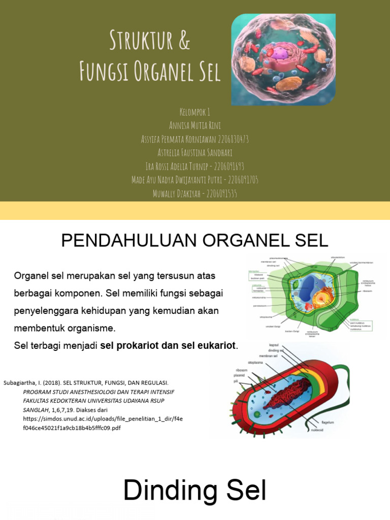 1. Struktur dan Fungsi Organel Sel | PDF
