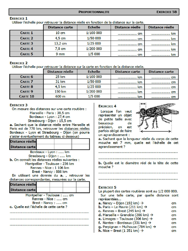 Utilisation D Echelles Exercices | PDF
