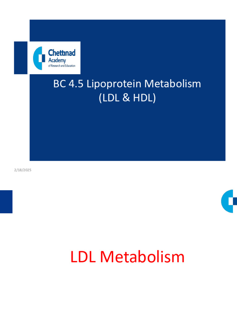 LDL and HDL Metabolism Overview | PDF | Cholesterol | High Density ...