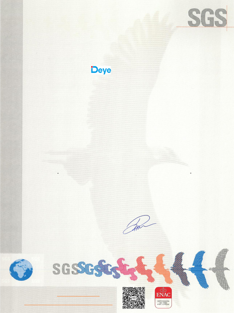 Deye Certificado SGS | PDF | Ingenieria Eléctrica | Energia electrica