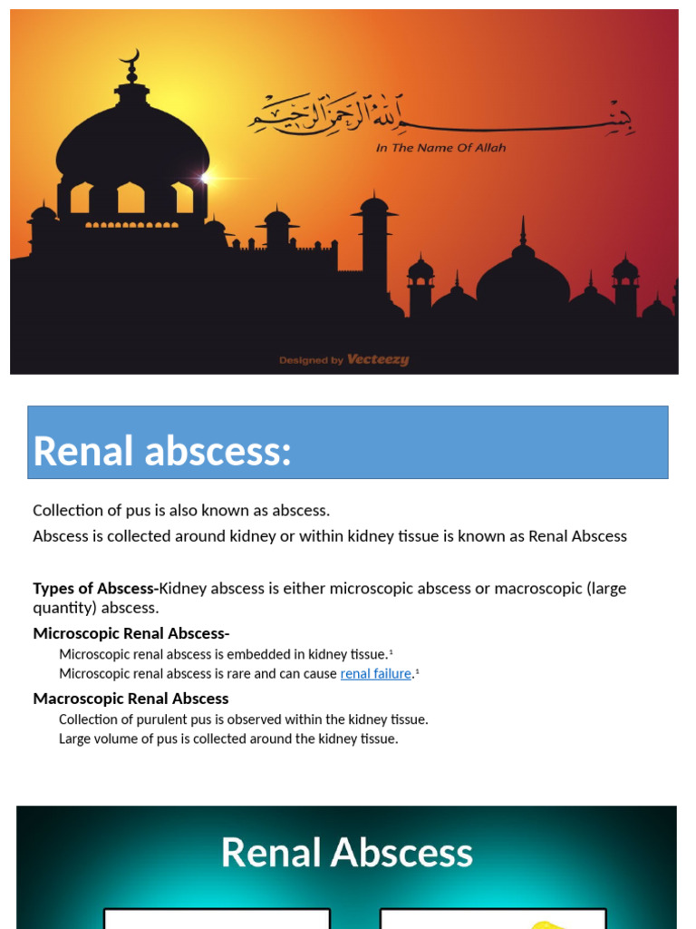 Renal Abscess by Raza - 1 | PDF | Kidney | Urinary System
