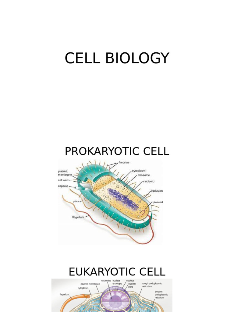 Cell Biology1 | PDF
