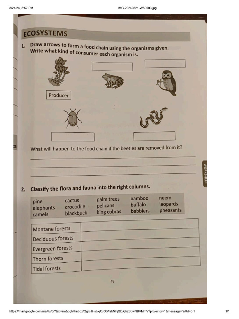 Biology ws4 | PDF