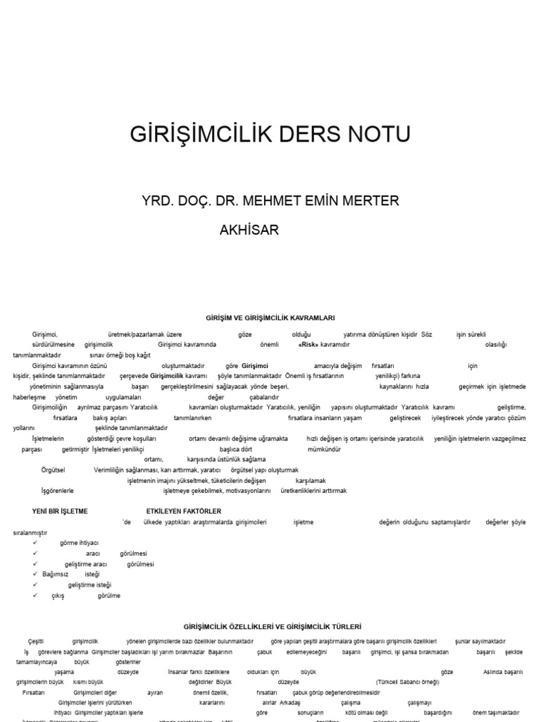 girisimcilik-1 | PDF
