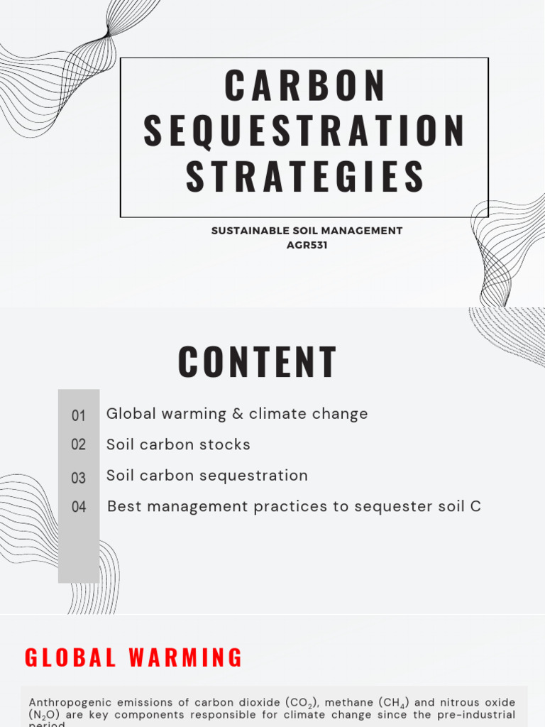 Carbon Sequestration Strategies for Soil | PDF | Climate Change ...