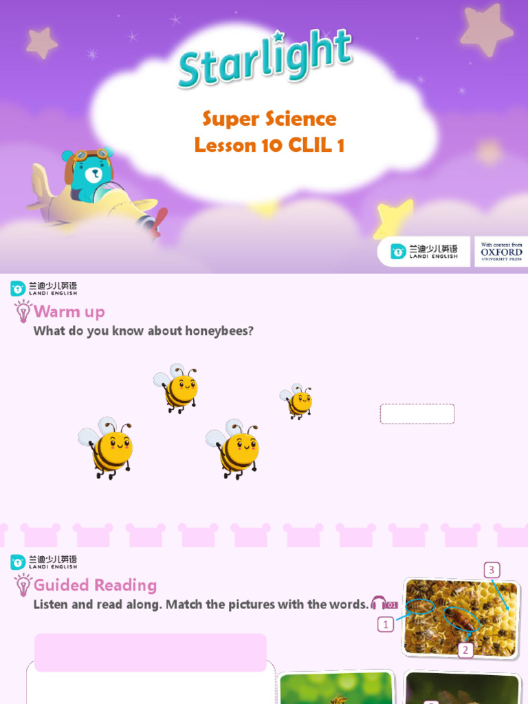 Lesson 10. CLIL 1-Science | PDF | Honey Bee | Beehive
