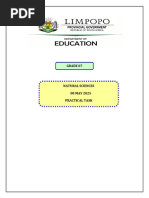 GR 4 NST Project | PDF | String Instruments | Musical Instruments