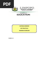 Grade 8 Whole Numbers Revision Worksheet | PDF | Numbers | Integer