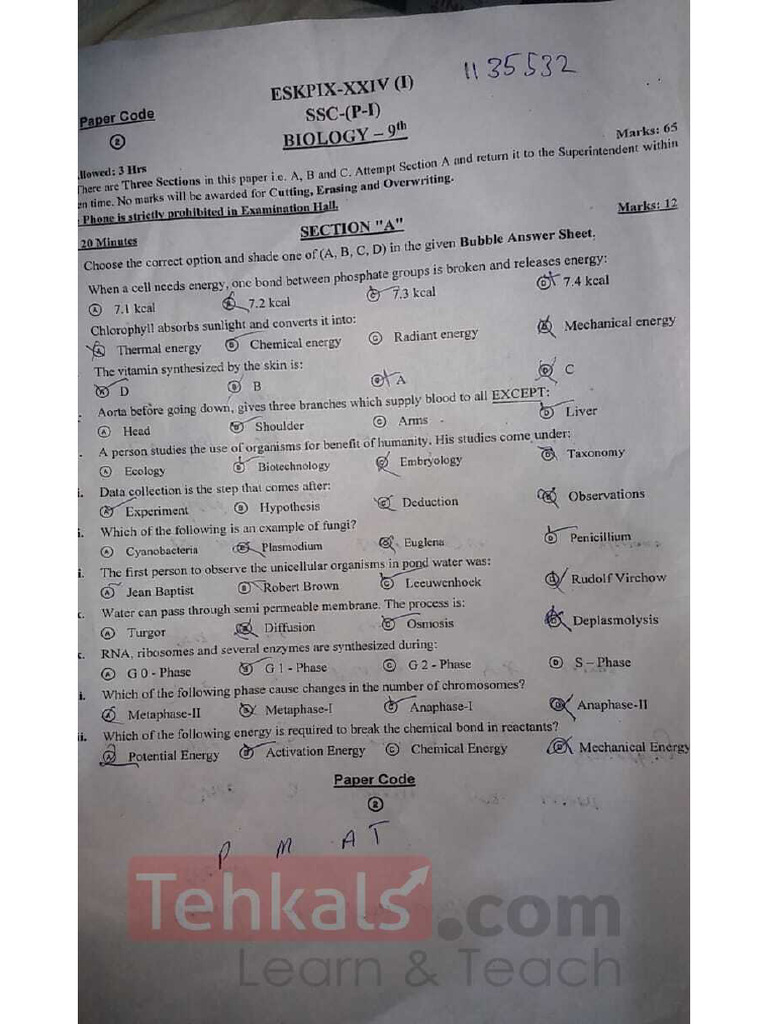 Class 9 KPK Board Papers 2024 | PDF