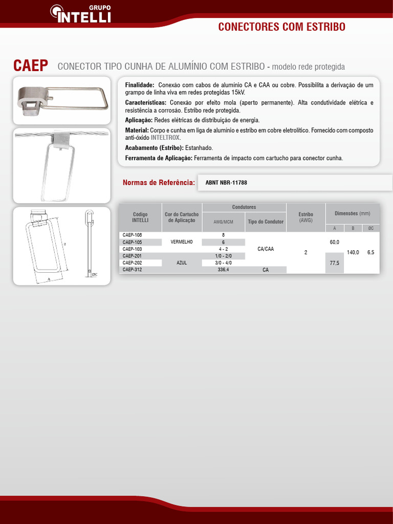 Ficha Caep | PDF