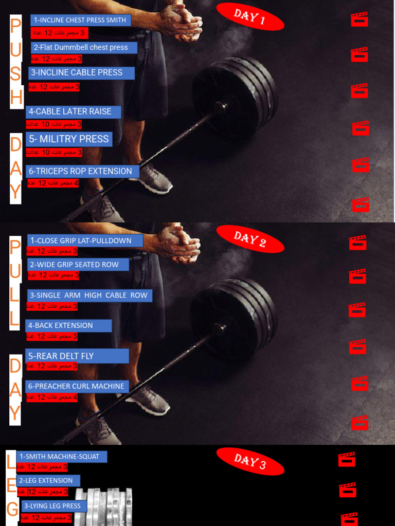Workout Push Pull Legs Aaa | PDF