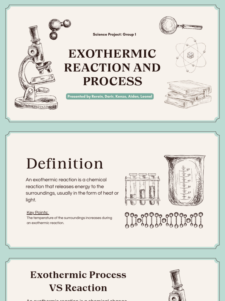 Understanding Exothermic Reactions | PDF