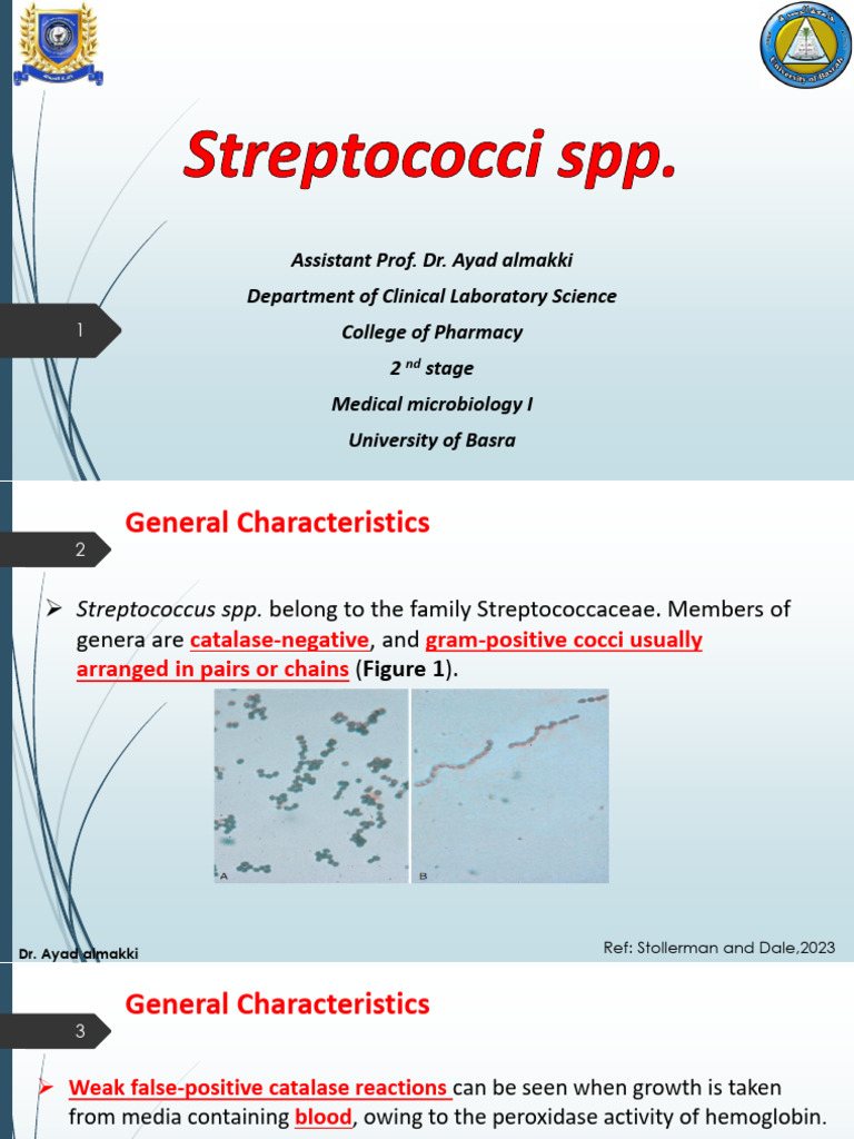 Streptococci SPP Dr. Ayad Almakki | PDF | Streptococcus | Pneumonia